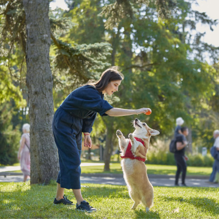 Библиотека пород собак | Purina - page 1